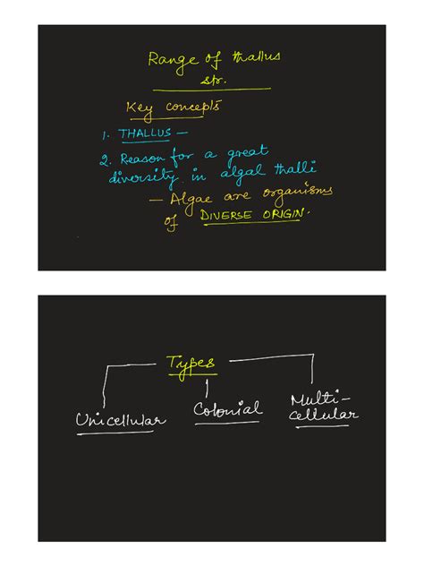 1 Basics Of Algae Handouts Pdf
