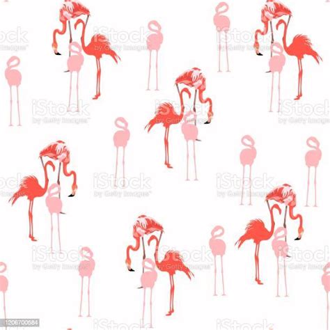 핑크 플라밍고 흰색 배경입니다 꽃 무음 패턴 열대 그림입니다 이국적인 새들 여름 해변 디자인입니다 파라다이스 자연 0명에 대한 스톡 벡터 아트 및 기타 이미지 Istock