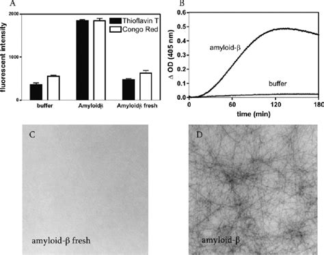 Demonstration Of Amyloid Properties The Presence Of Amyloid Was Download Scientific Diagram