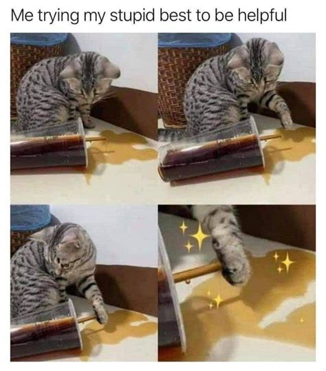 Ai Automatically Solves A Problem Rcat