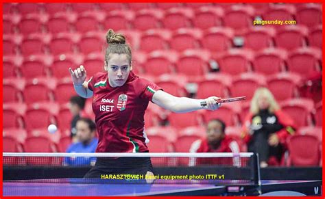 Harasztovich Fanni 装備 Pingsunday