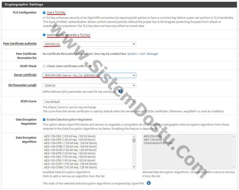 PFSense Peer to peer VPN Sistem ve Network Dünyasına Hoşgeldiniz