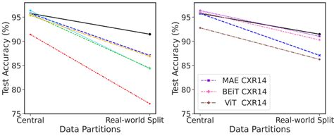 Comparison Of Model Performance In Test Accuracy Wrt Data