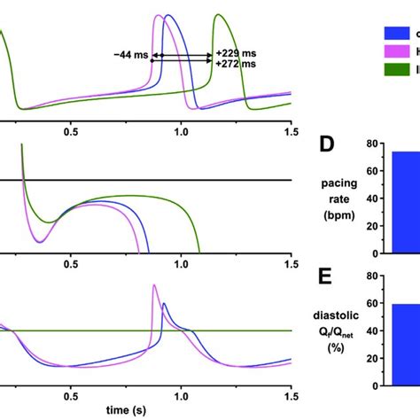 Pacemaker Activity In The Fabbri Severi Model Of A Single Human Sinus