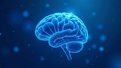 Holographic Human Glowing Brain Is Rotating Concept About Artificial Intelligence Deep