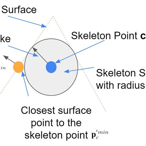We Use Two Example Skeleton Graphs Blue And Orange To Demonstrate How