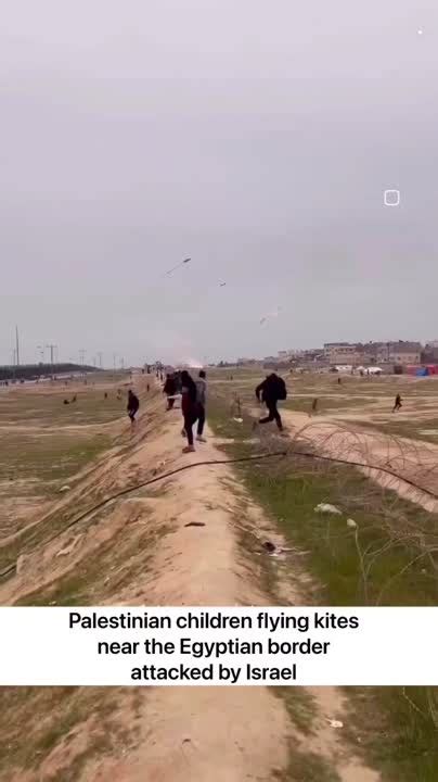 Video Ibrahim Muhammad Barnawi Posted On Linkedin