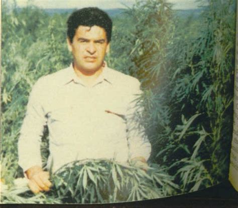 Kiki Camarena Photo Of Late Dea Special Agent Kiki Camaren Flickr