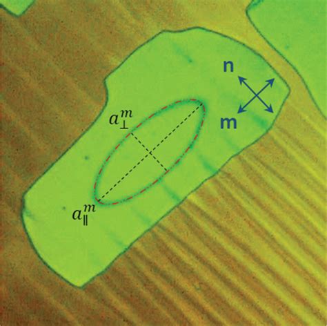 Liquid Crystals Vol 50 No 1