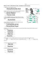 Homework DNA Structure Pdf Name Biology I Unit A DNA Mastery Unit Worksheet DNA