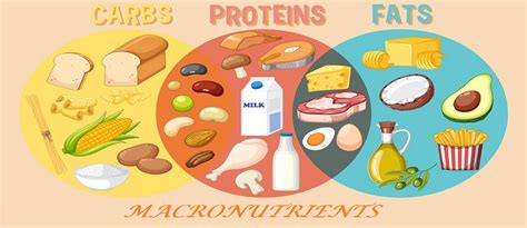 Fuel Your Well Being A Self Care Sunday Guide To Macronutrients Lets