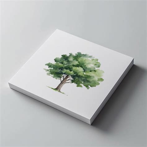 Water Color Style Tree Elevation PNG Trees To Plant Color Watercolor