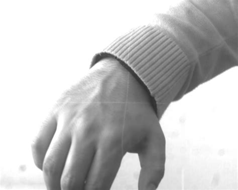 Algorithm Detecting Deformed Lines Stack Overflow