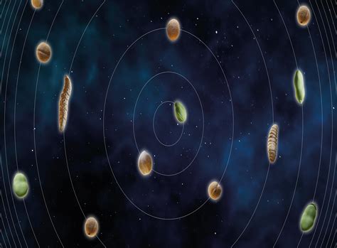 Andritz Alternative Proteins Sustainable Processing