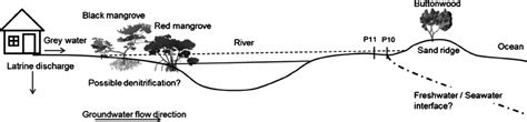 Schematic Cross Section Of The Study Area Valid For Area Around Cross Download Scientific