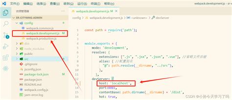 Vue 运行项目报错合集 Vue 项目运行报错 Csdn博客