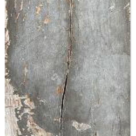 Different Types Of Timber Structure Cracks In Ancient Architecture A Download Scientific