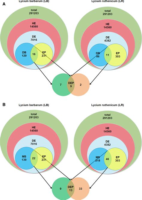 The Two‐step Selection Process For Genes Analysed Herein A The Download Scientific Diagram