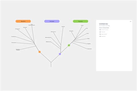 Cluster Diagramm Vorlage Miro