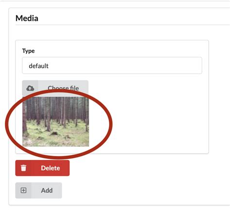 Php Sylius How To Render A Preview Of Images On An Entity Properly Using Syliusresourcebundle
