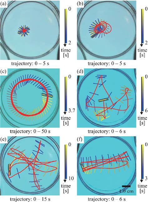 The Types Of Characteristic Modes Of Motion Of A Rod Shaped