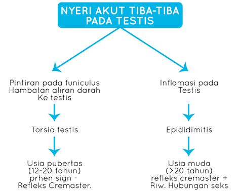 Torsio Testis