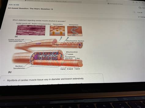 CH 18 HW Flashcards Quizlet CH 18 HW Flashcards Quizlet