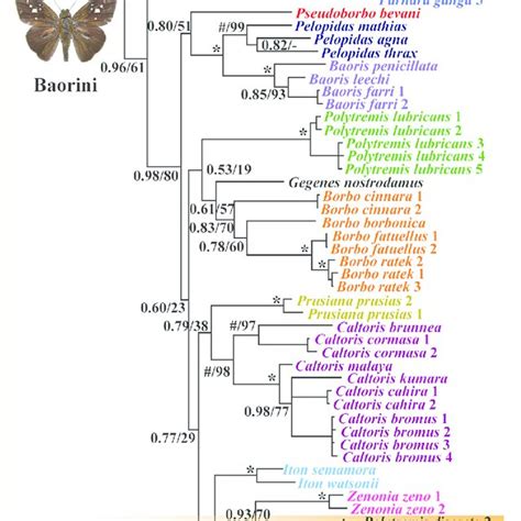 Majority Rule Consensus Tree From The Bayesian Analysis Bi Of The Download Scientific Diagram