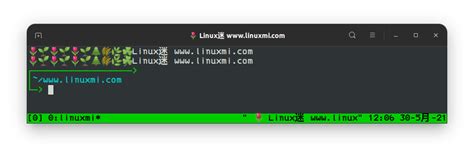 Linux 终端复用神器 Tmux 使用详解 Linux迷