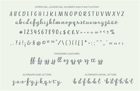 Script Font Calligraphy Font Symbols Font Wedding Font Menu Font Brush Letters OTF TTF Curvy