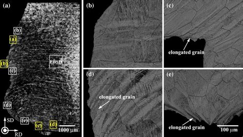 Deformation Microstructure Of Longitudinal Section In The Near Fracture