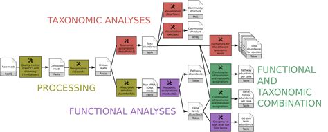 asaim an environment to analyze intestinal microbiota data galaxy community hub