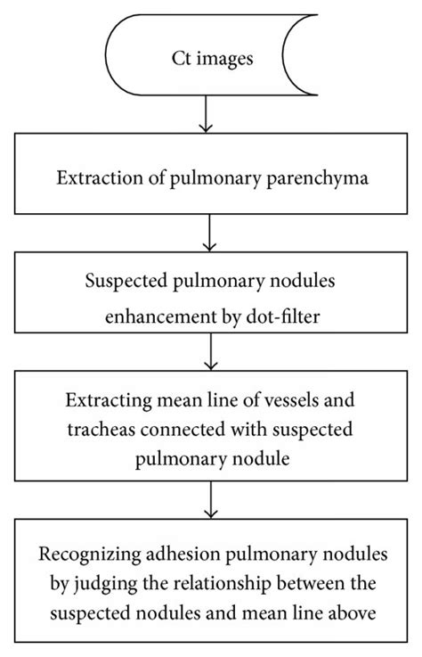 The Process Of The Algorithms Used To Recognize Adhesion Pulmonary