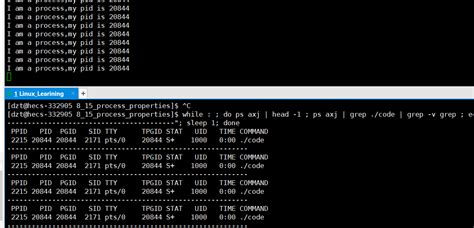 Linux进程的基本属性 父子进程关系 阿里云开发者社区
