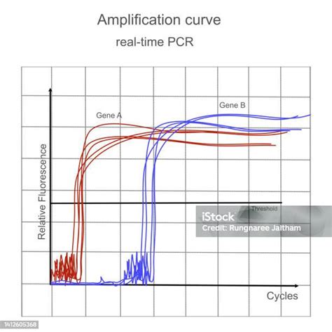 The Amplification Graph Of Realtime Pcr Technique That Represent The