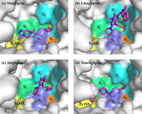 Binding Modes Of Each Inhibitor [ A Sitagliptin 1 B Linagliptin 2 Download Scientific