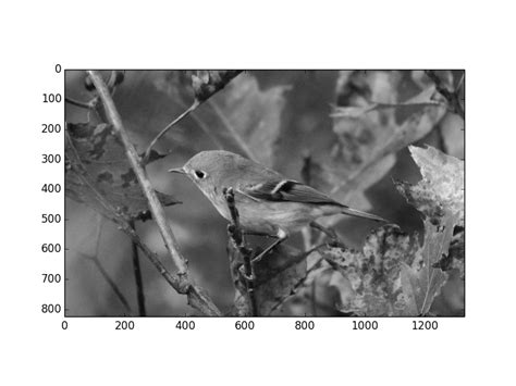 Python Multidimensional Array And Magnitude Of Gradient Stack Overflow