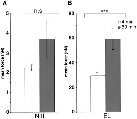 Effect Of Time Of Contact On Separation Force The Separation Force Download Scientific Diagram