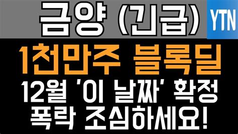 금양 주가전망 긴급 1천만주 블록딜 12월 이 날짜 확정 폭락 조심하세요다 Youtube