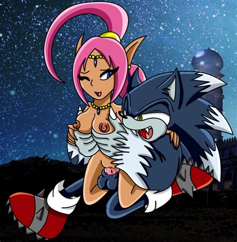 Read Sonic The Werehog Sonic The Hedgehog Hentai Porns Manga And Porncomics Xxx