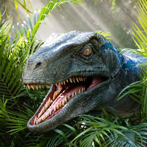Blue Raptor