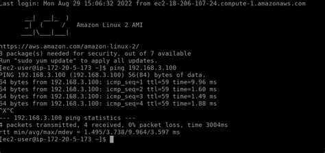 How To Leverage Nated T1 Gateway For Overlapping Networks Over A