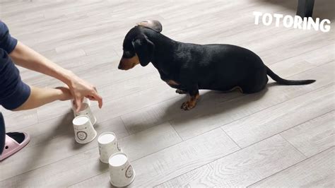 처음 하는 게임은 어려워 Youtube