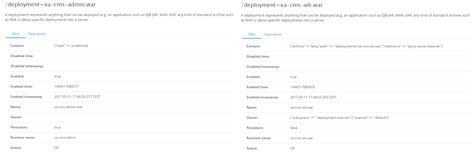 Application Succesfully Deployed But Cannot Ac JBoss Org Content Archive Read Only