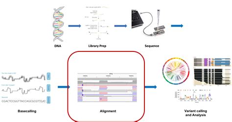 alignment an introduction to long read sequencing