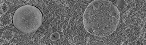 Nemi On Linkedin Microscopymonday Tomography Tem Fib Sem