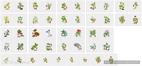 中药材合集设计图 图片素材 其他 设计图库 昵图网
