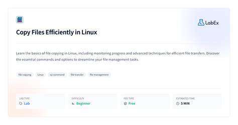 Copy Files Efficiently In Linux Labex