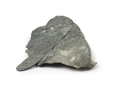 Modelo 3d De Pulmon Vários Depósitos De Carcinoma Secundário No