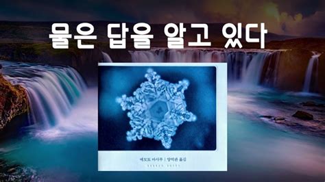 물은 답을 알고 있다 에모토 마사루 YouTube